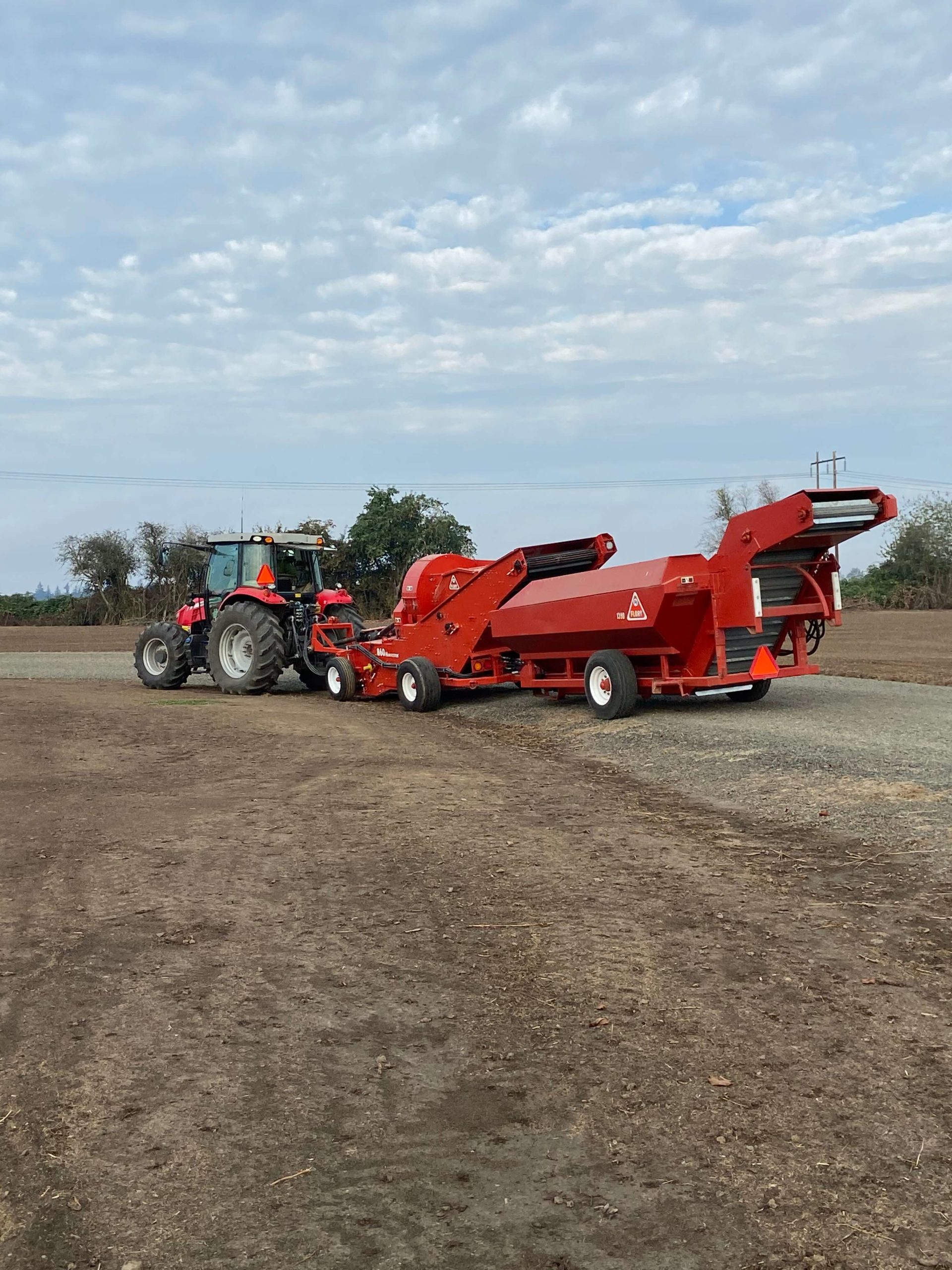 Home for Hazelnut Harvest - theolivebranch.net